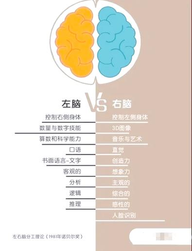 左手玩手机是左撇子吗图标