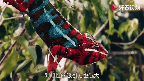 手机一滑动屏幕就变色图标