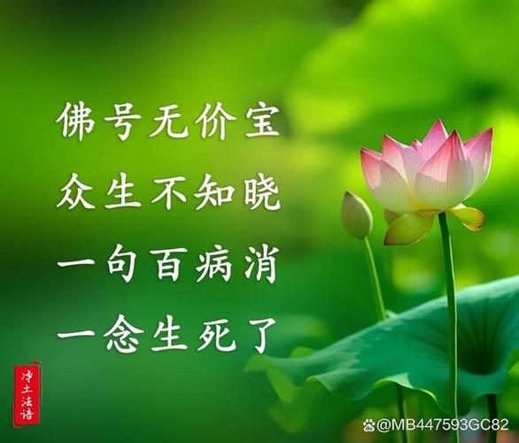 念南无阿弥陀佛的功德和好处