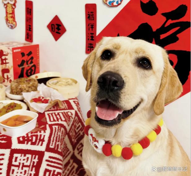 偷吃年夜饭的视频