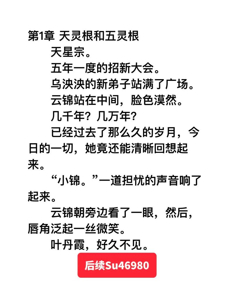 云锦小说主角