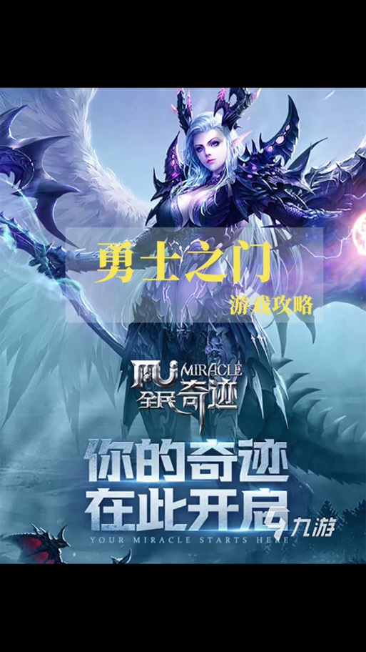 奇迹mu瑞币技能图标