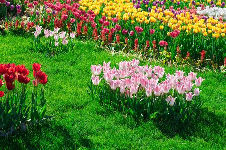 阳光植花场图标