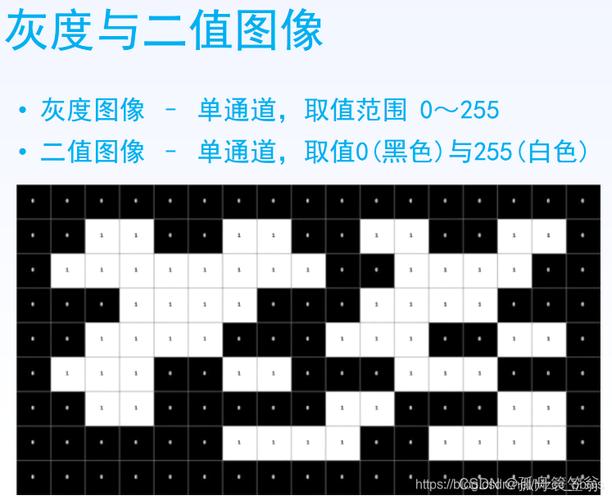 黑白2在哪看个体值图标