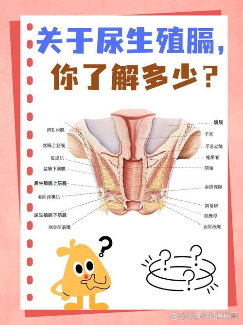 男女之间隔膜的原因截图