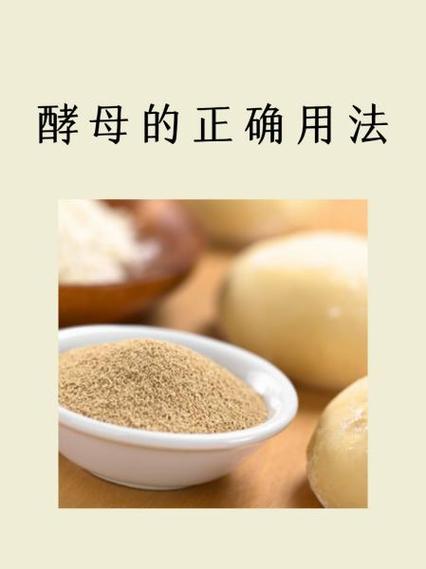 酵母的正确用法图标