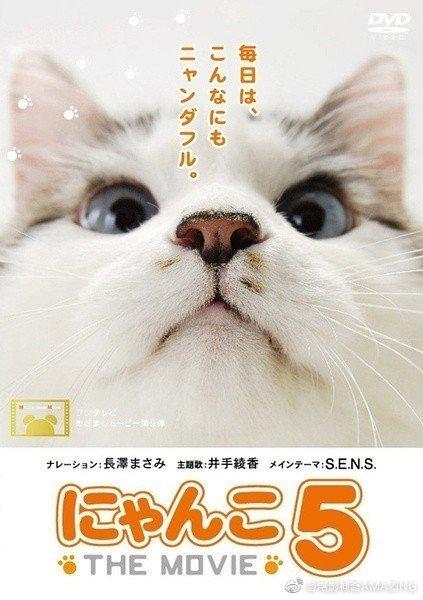 猫咪物语评价图标
