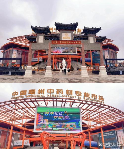 买中药材在哪个平台卖比较好图标