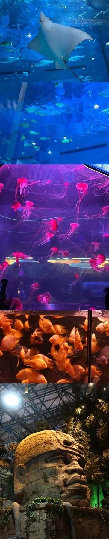 奇妙海洋馆赚钱图标