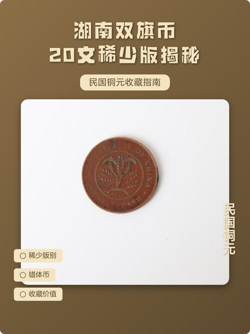 湖南双旗币二十文稀少版本图标