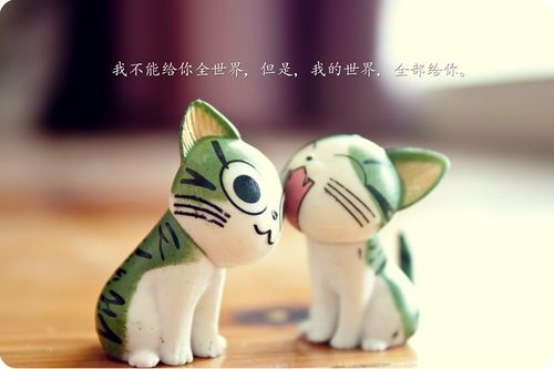 你不能留在我的世界