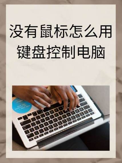 电脑一进桌面鼠标键盘就用不了图标