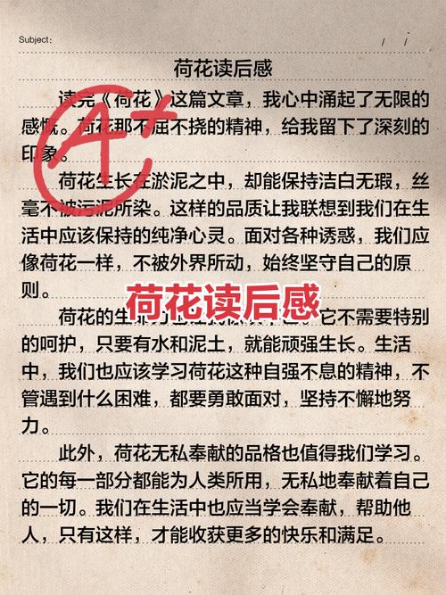 灵性深处开莲花读后感600截图