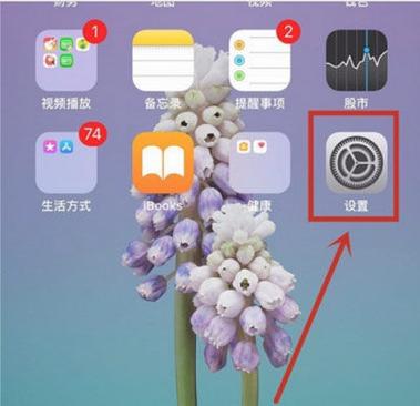 苹果13亮度调节在哪里图标
