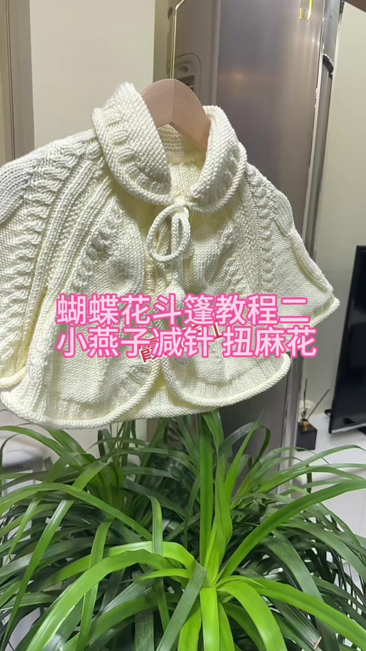 成人斗篷编织图解图标