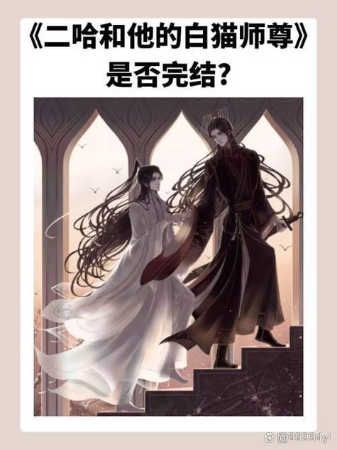 野秃兔小说图标