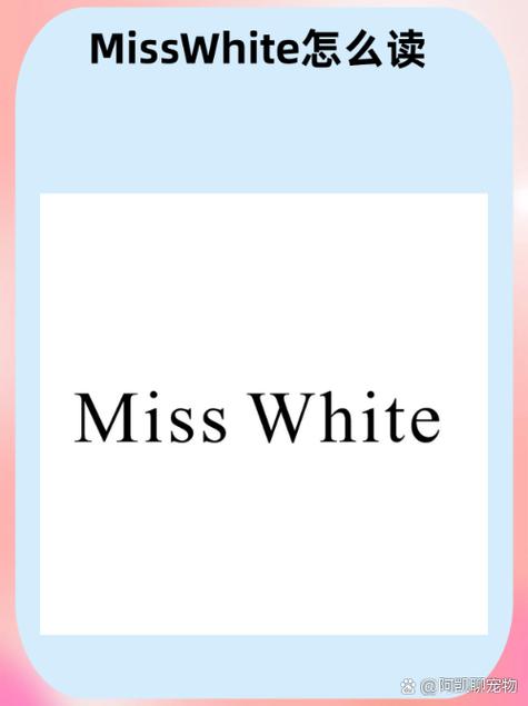 Miss White的中文图标