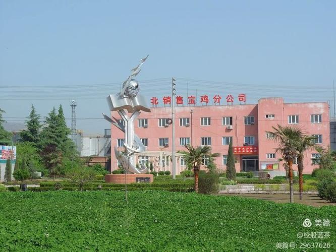 中石油宝鸡分公司官网图标