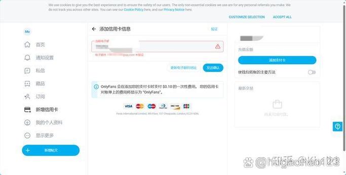 onlyfans绕过信用卡截图