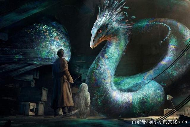 神奇动物在哪里是什么截图