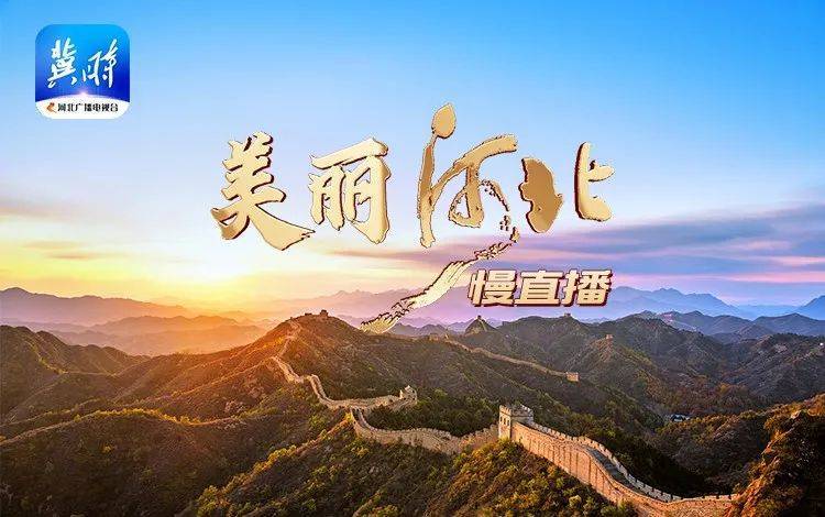 河北卫视24小时人工热线截图