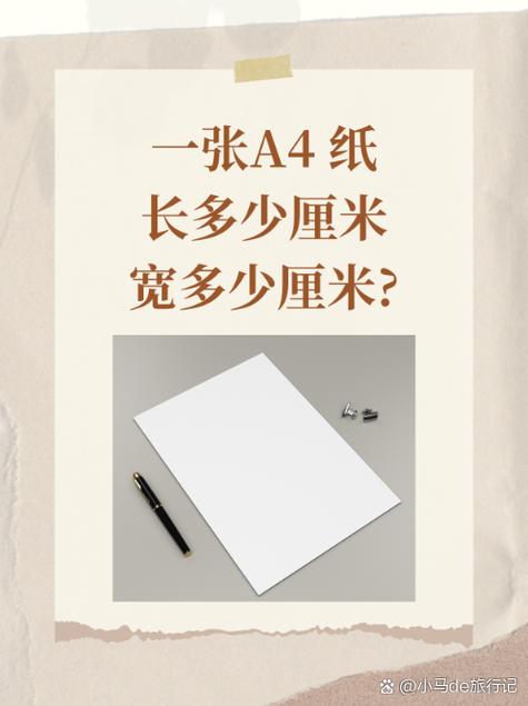 两张a4纸是多大尺寸图标