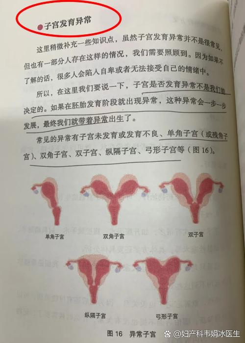 单性的起源