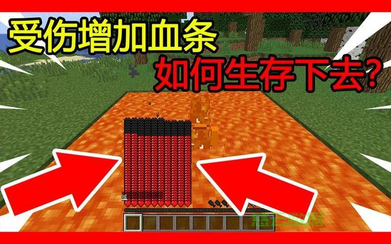 我的世界怎么把血调到下面图标