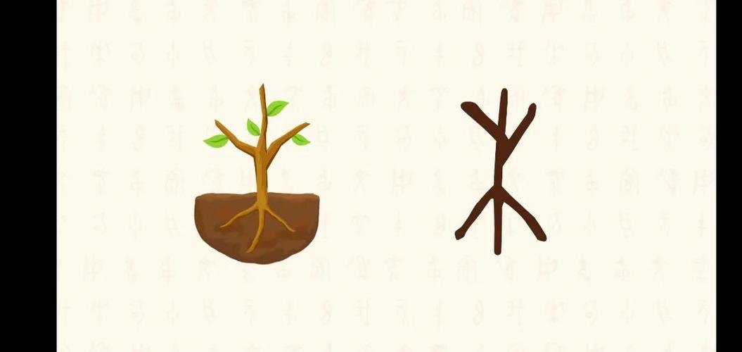木字旁和树木有关的字截图
