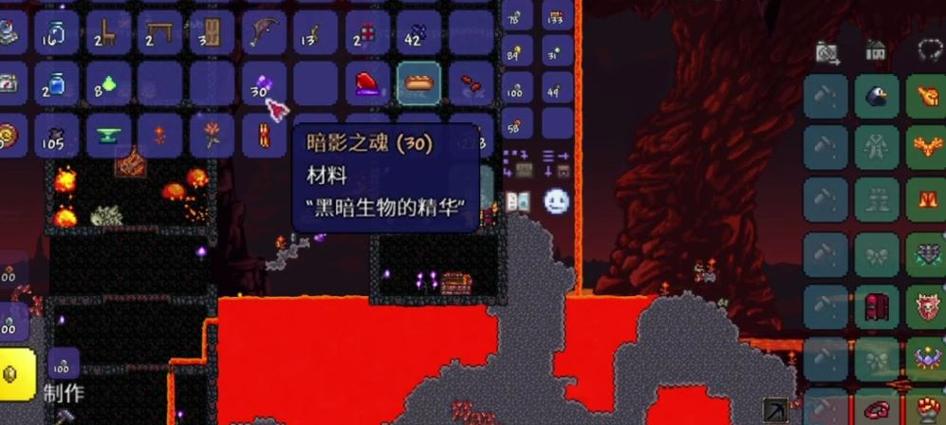 泰拉瑞亚灾厄暗影之魂截图