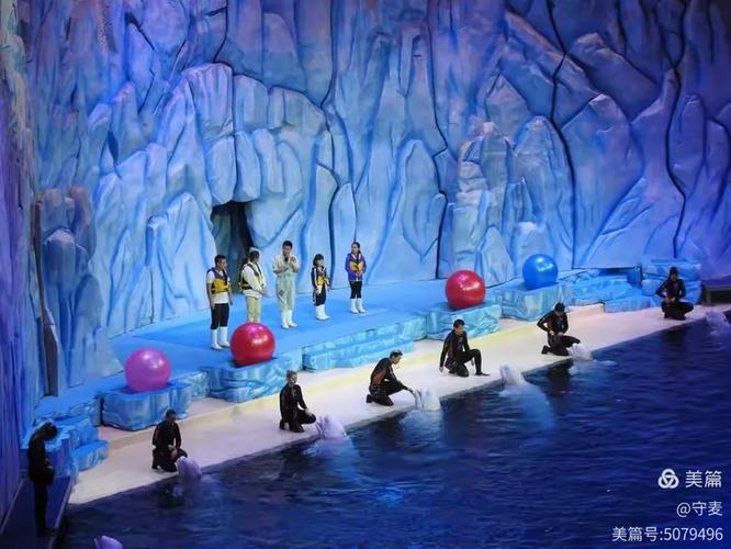 海豚三年级阅读答案图标