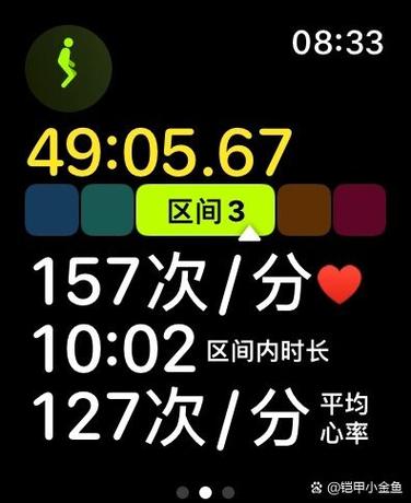 苹果手表可以实时显示心率吗