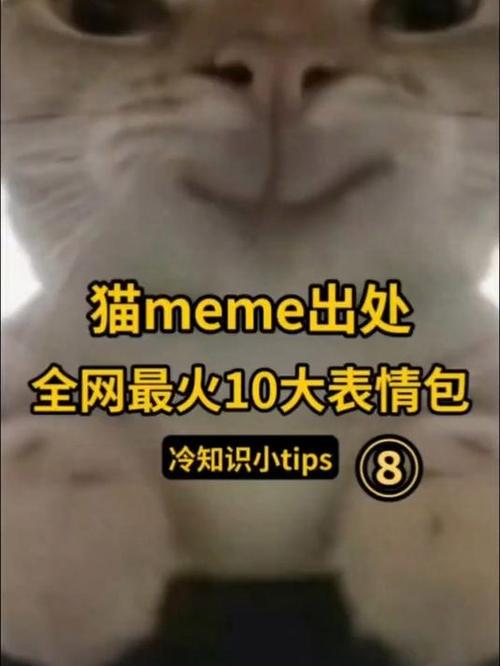 猫meme梗图图标