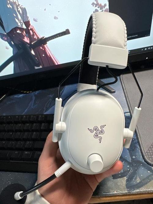 旋风黑鲨v2pro截图