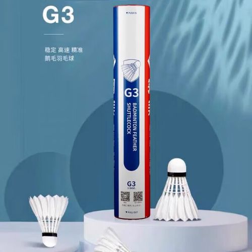 羽毛球哪个好图标