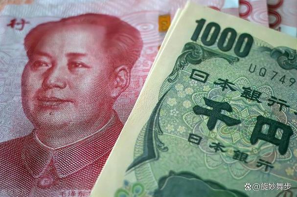 100w人民币在日本能干嘛图标