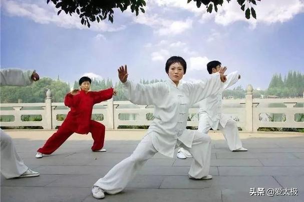 侬好太极完整音乐图标