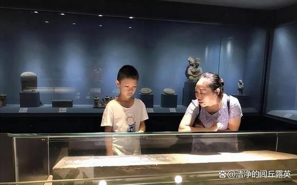 捡到国宝国家怎么补偿