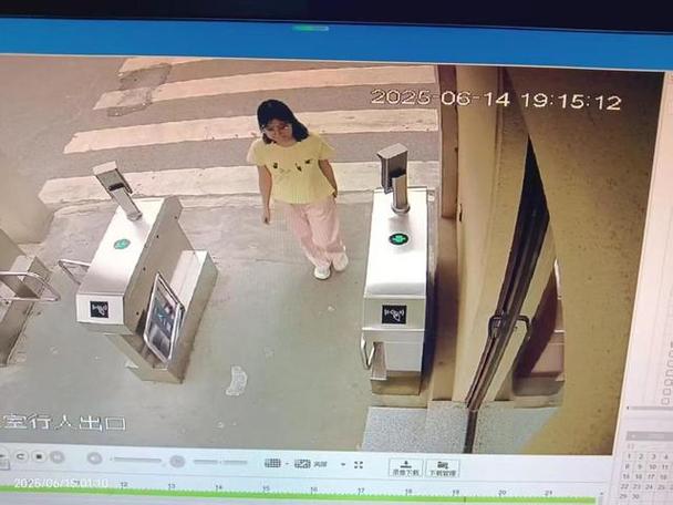 监控视频画面丢失了一个截图