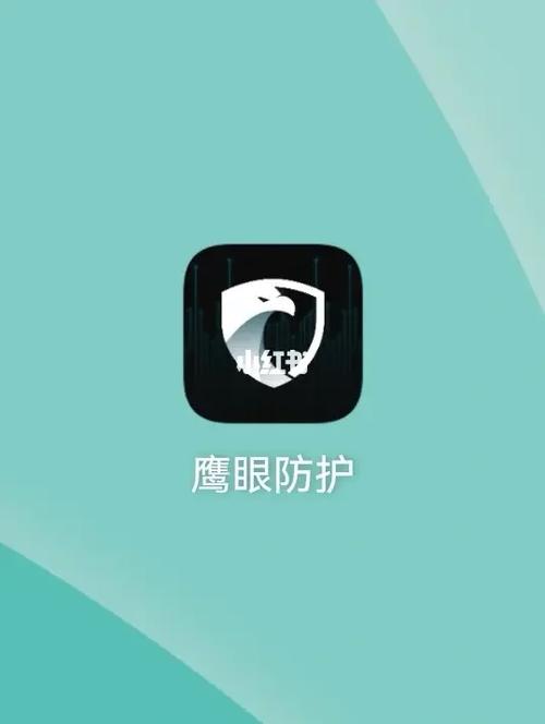 鹰眼安防APP