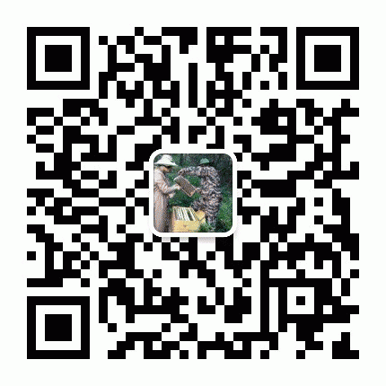 微信好友免验证吧图标