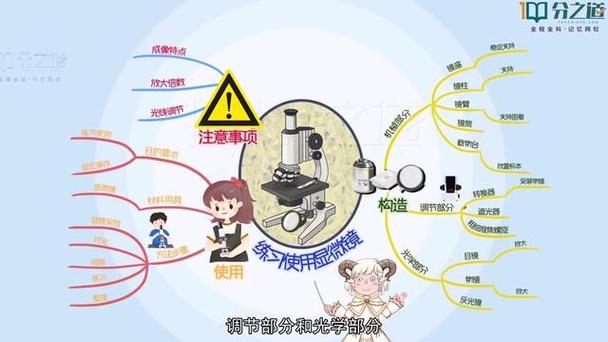 七年级上册生物显微镜的使用步骤图标