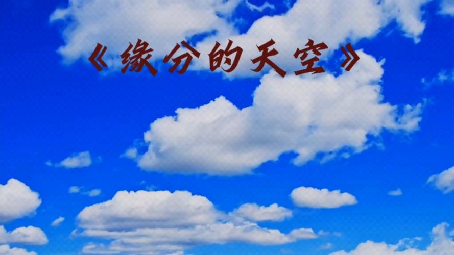 缘分的天空下载