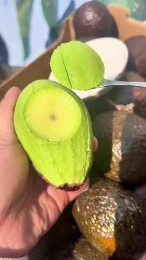 牛油果大小有什么区别图标