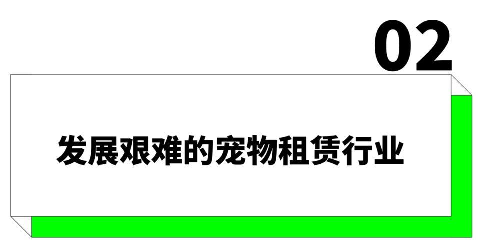 租狗多少钱一天图标