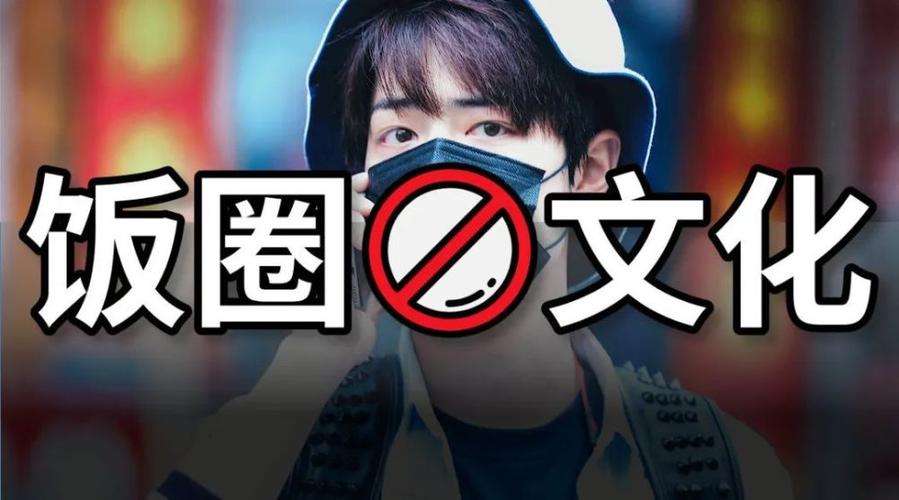 饭圈文化啥意思图标