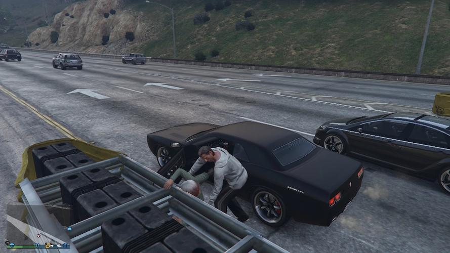 gta5有哪些bug图标