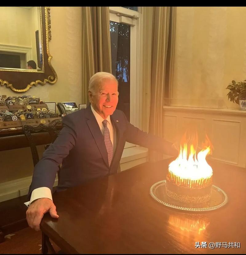 拜登的出生日期图标