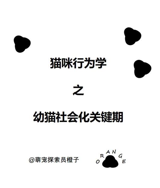 养猫成长记图标