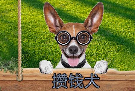 微信养宠物赚钱图标